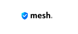 Best Business Entity Identity and License Verification Solution Mesh